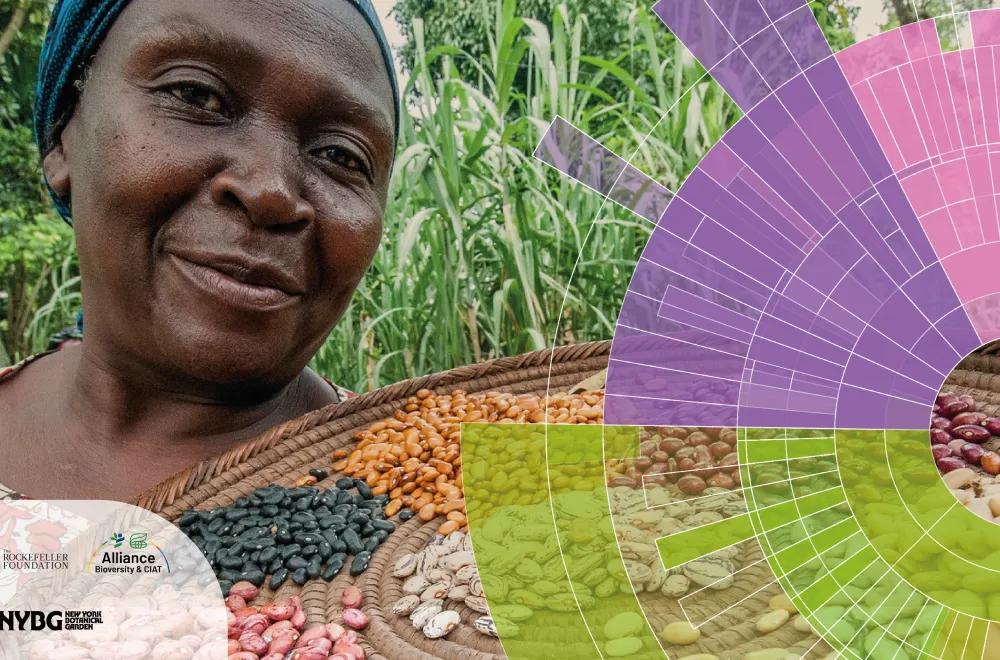 El instituto iÓMICAS, en la celebración Global de la Diversidad Alimentaria y la Innovación ...